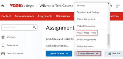 Using VoiceThread in your Brightspace courses - Center For Teaching, Learning, and Educational ...