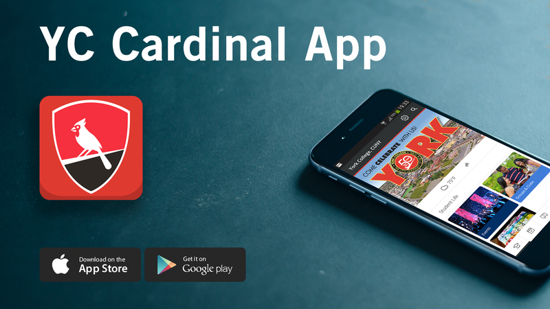YC Cardinal App - York College / City University of New York - York College