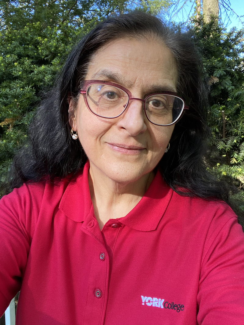 Some Thoughts on Celebrating Diversity - York College / City University ...