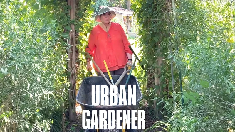 Prof Abbott Receives Grant to Fund Her Latest Film - York College ...