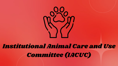 Policies and Procedures - Office of Research and Sponsored Programs - York College