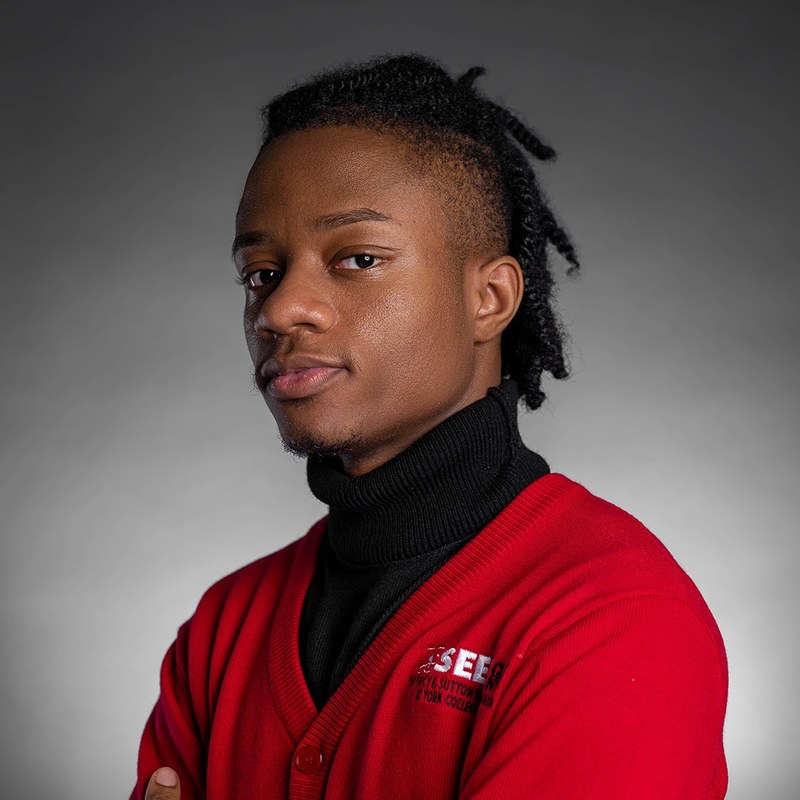 Services - Percy E. Sutton SEEK Program - York College